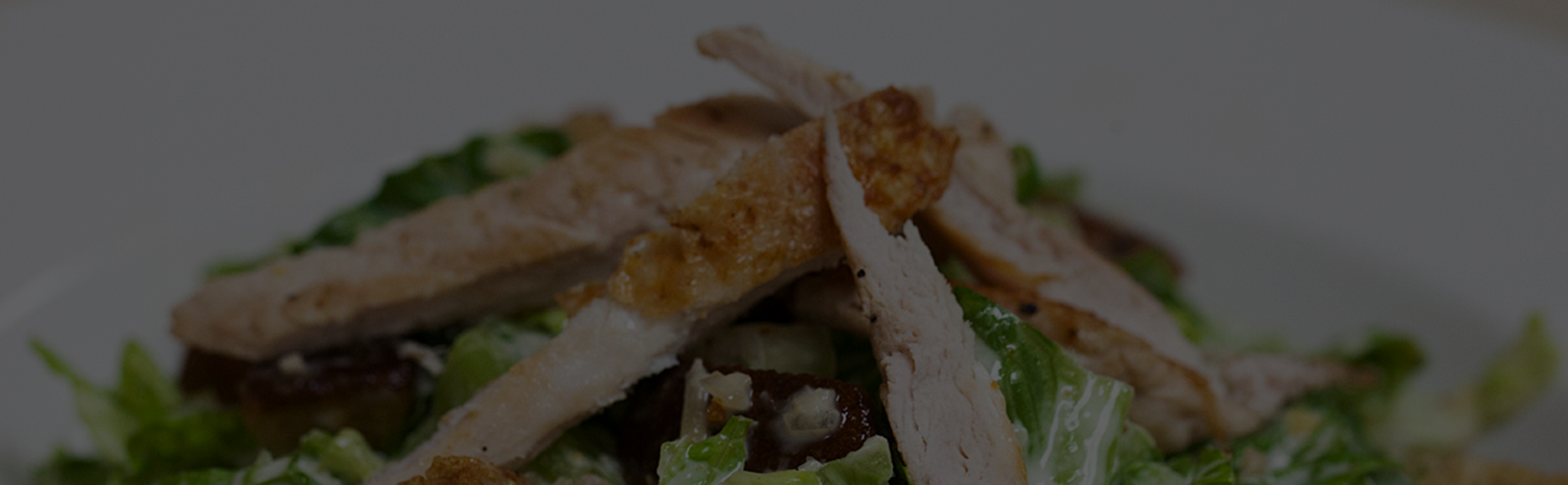 Terms of Use - Rustic Inn Café